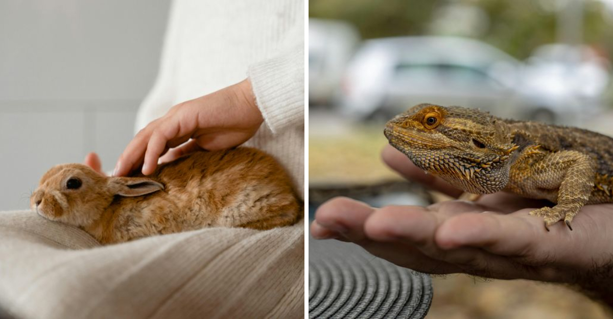 5 Pet Species That Form Lifelong Bonds And 6 That Lose Interest Quickly