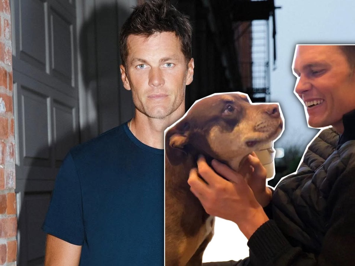 Tom Brady sorprende al revelar que su perrita Junie es un clon de su ...