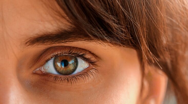 Study finds the eyes reflect the body’s biological age