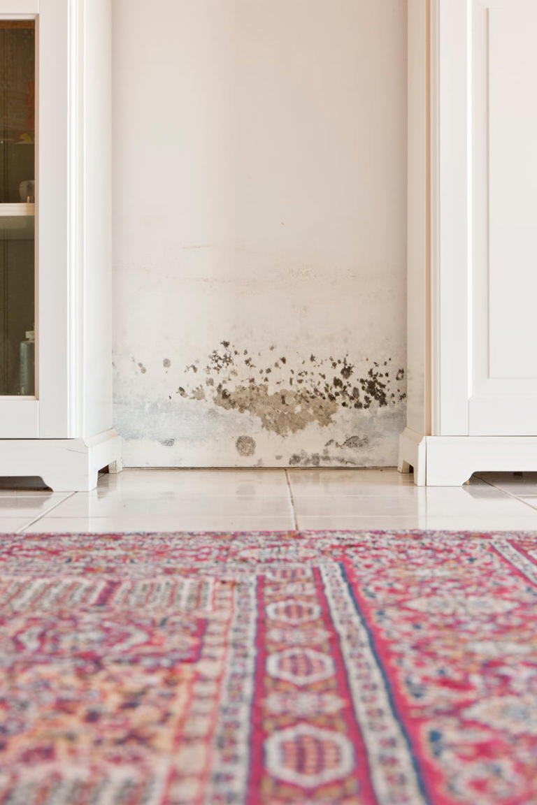 Cleaning experts reveal the best way to safely remove mold from any surface