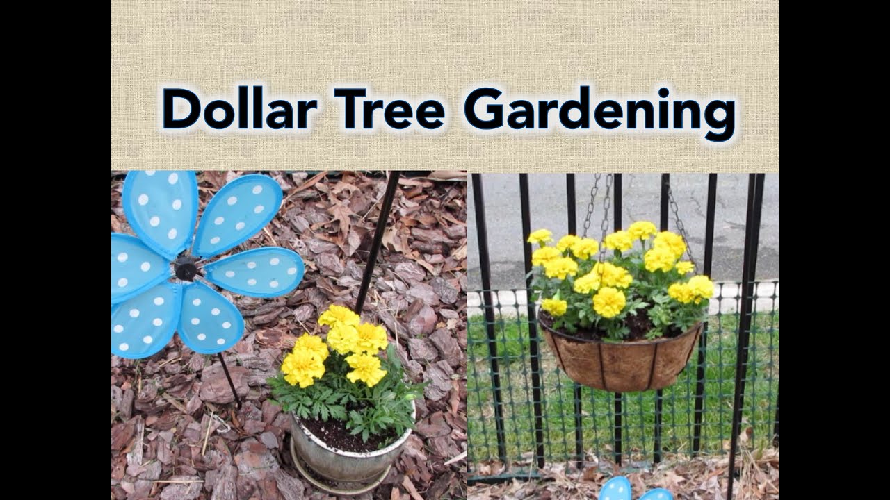 Dollar Tree gardening | My favorite products