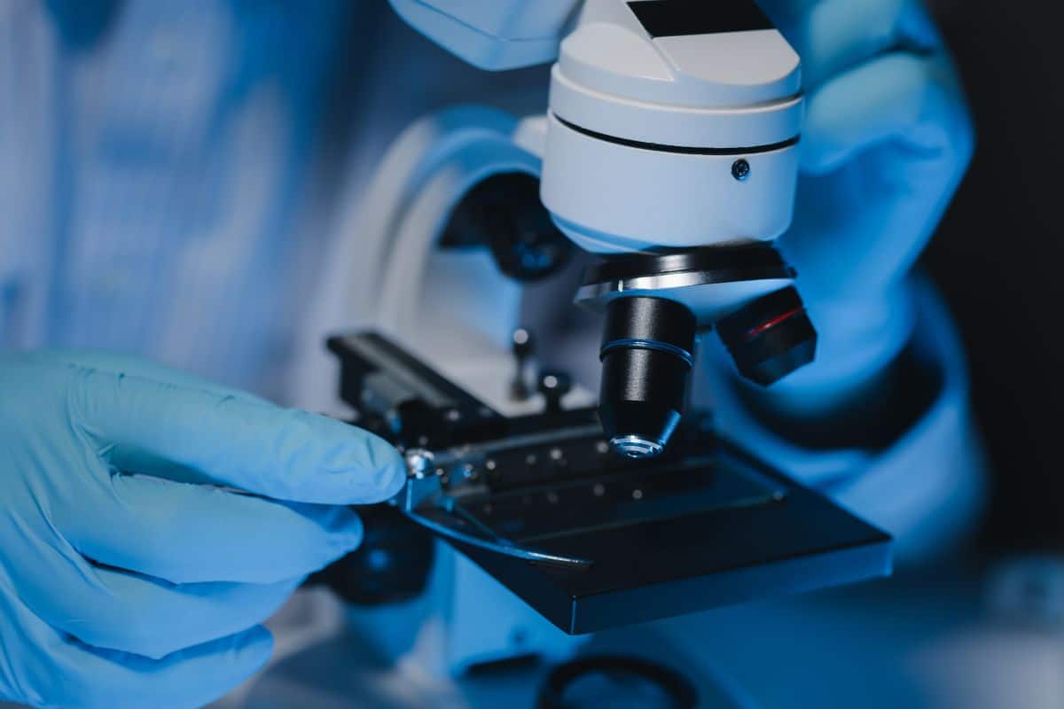 El estudio de IVI RMA Research gana el premio al Mejor Trabajo en el ...