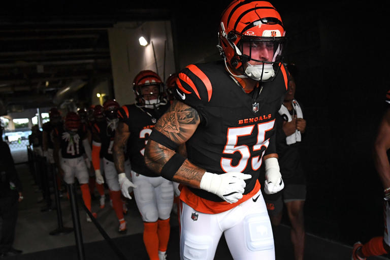 Bengals Halloween costumes include Logan Wilson as a lion, 'High School ...