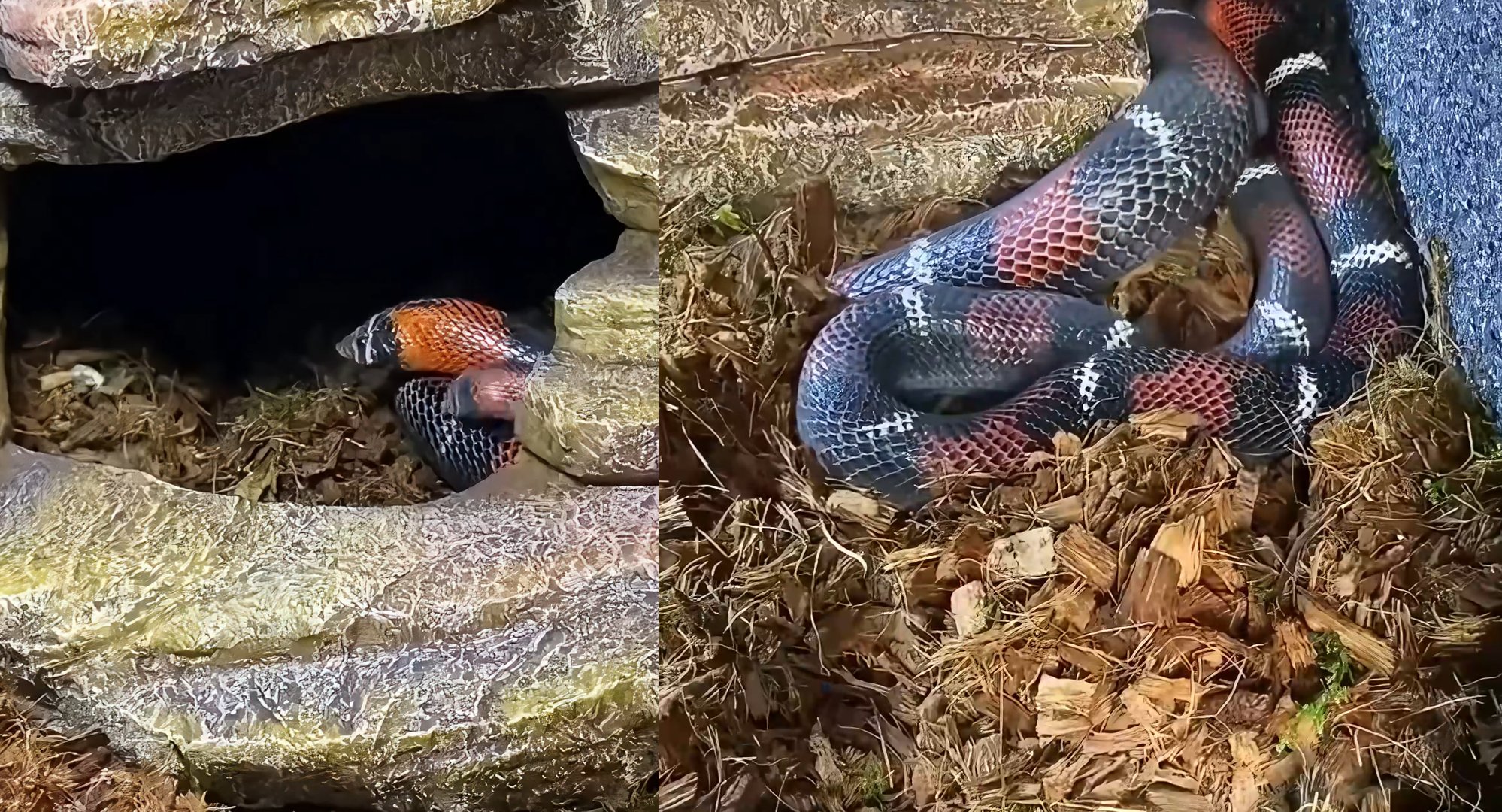 Ed and Lorraine understood the assignment!