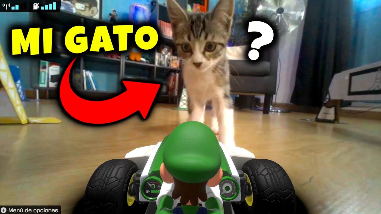 🤣 Mi gato reacciona a Mario Kart Live Home Circuit de Nintendo Switch
