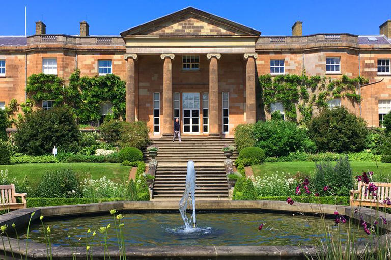 NI Office says future of Lisburn's 'Prince Andrew' tree is a Royal matter