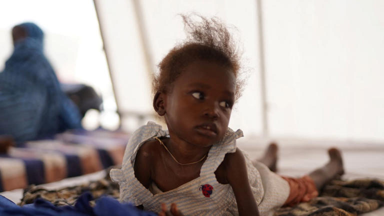 Famine and violence in Sudan: Thousands escape to Tawila for medical aid