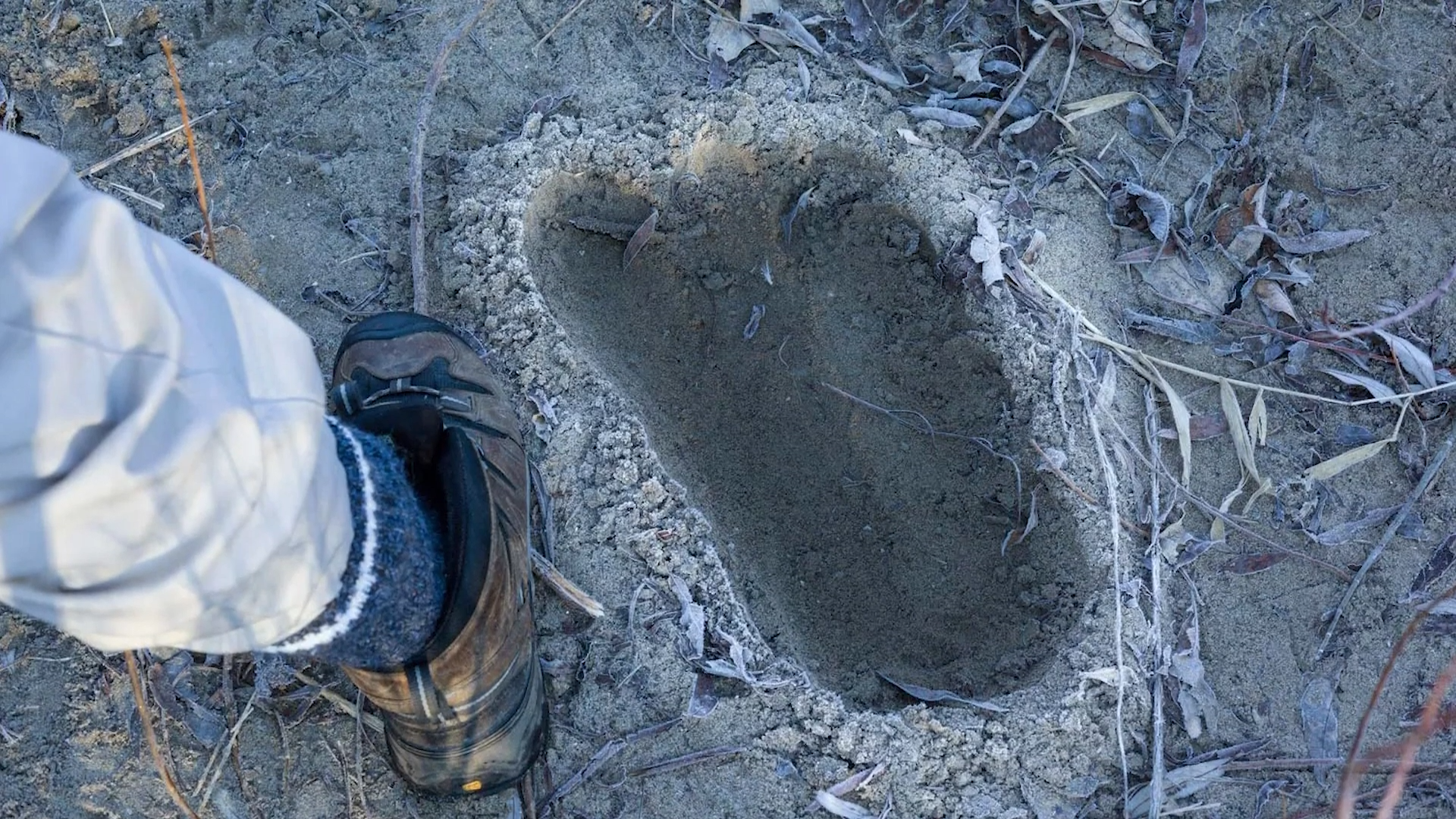 This video shows how ancient giants roamed North America