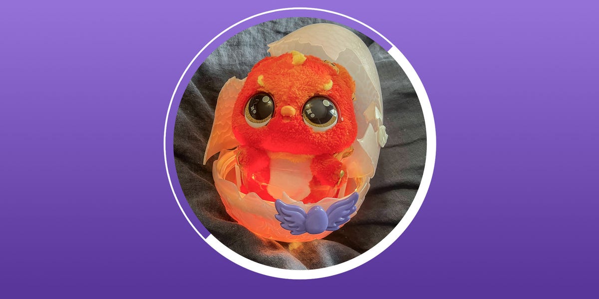 Hatchimals Mystery Draggle Mixes Iconic Toy Cuteness With Blind Box Frenzy