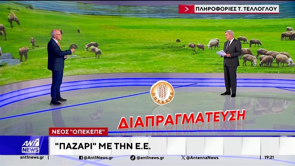 Νέος ΟΠΕΚΕΠΕ: Παζάρι με την ΕΕ