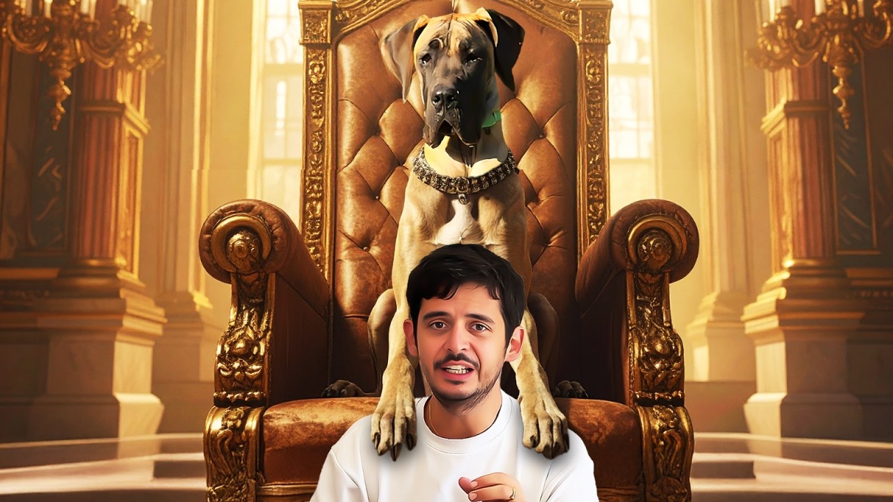 Athéna décide de ma journée (je suis esquinté)