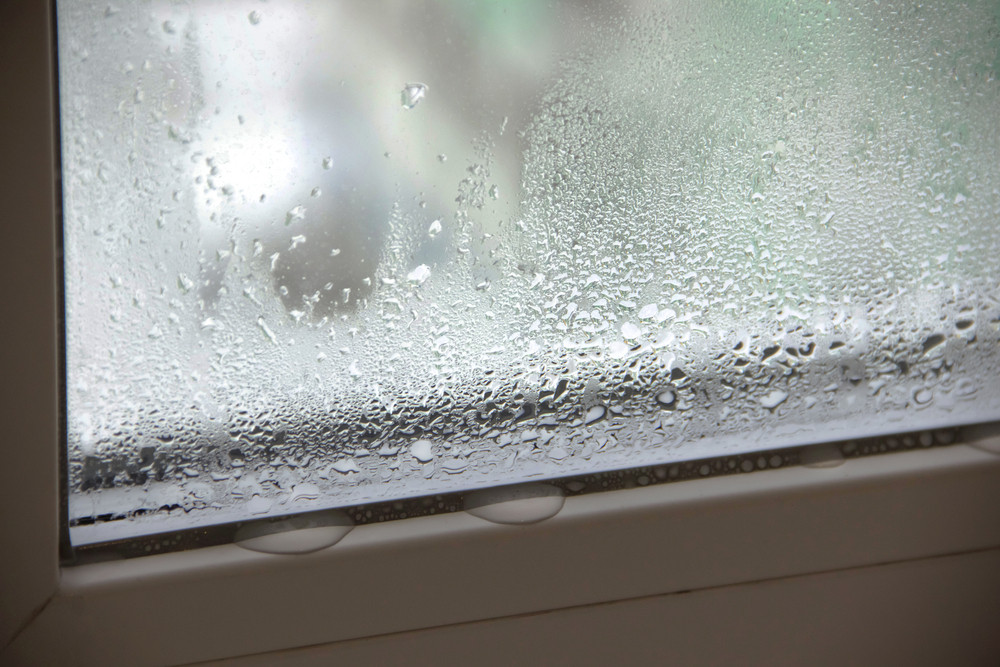 Comment mesurer et réguler le taux d’humidité dans la maison