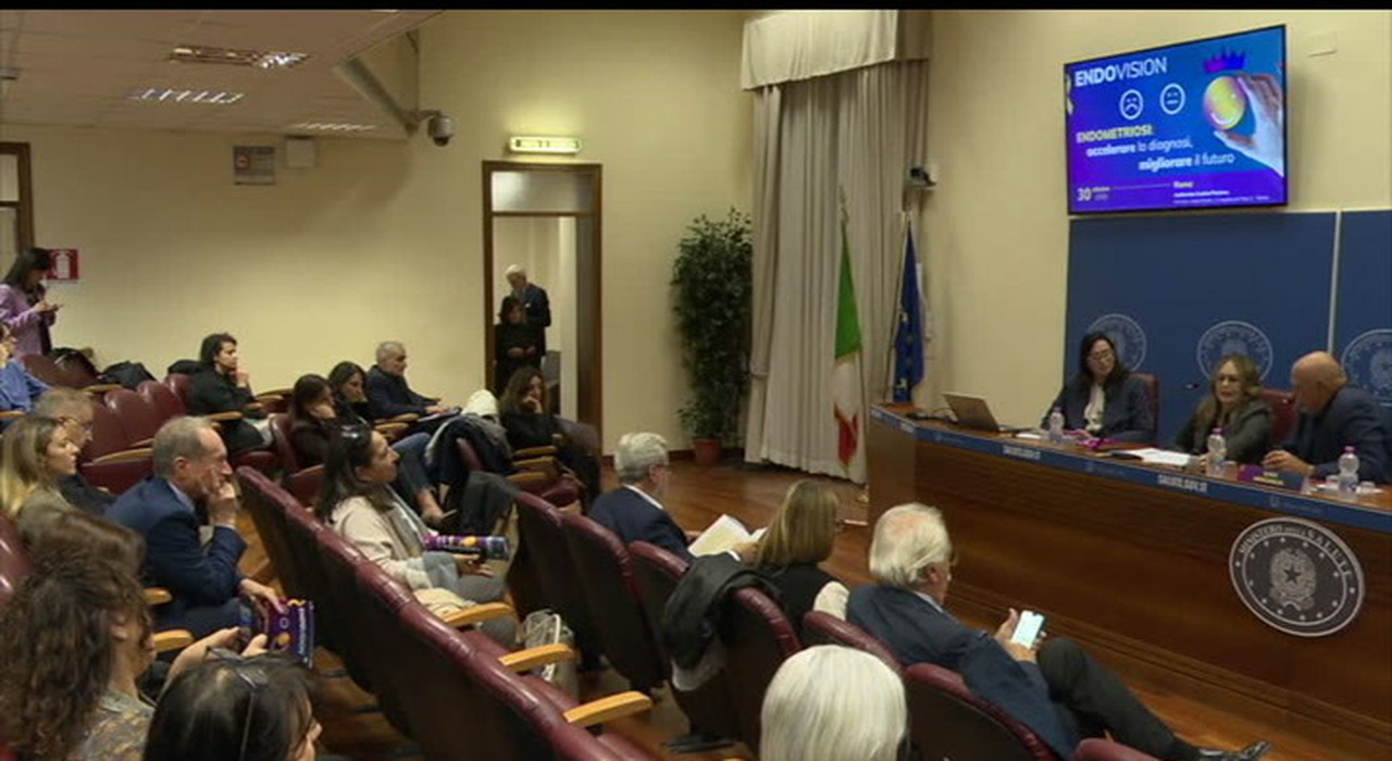 Presentato il manifesto per il miglioramento dell'endometriosi