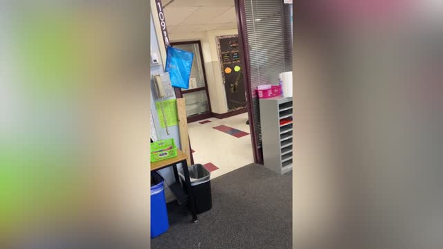 Navy Brother Makes Sister's Jaw Drop When He Returns Home