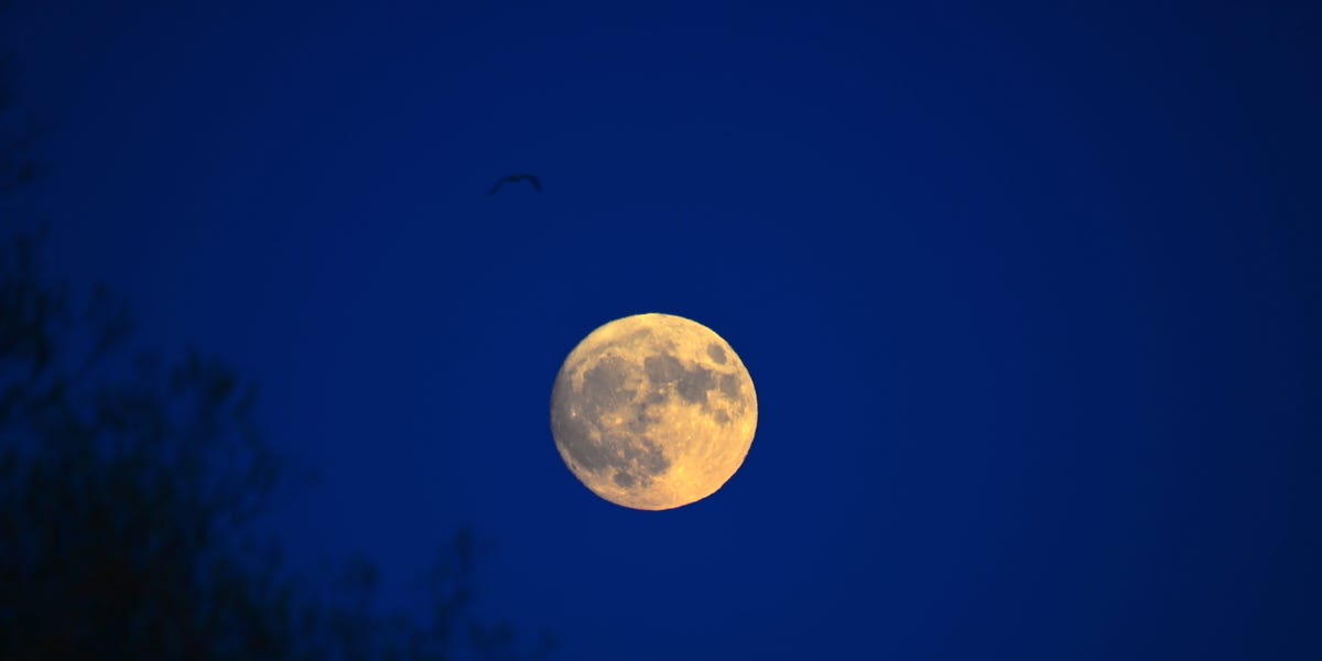 The Closest Supermoon of the Year Is Here—These 10 States Will Have the ...