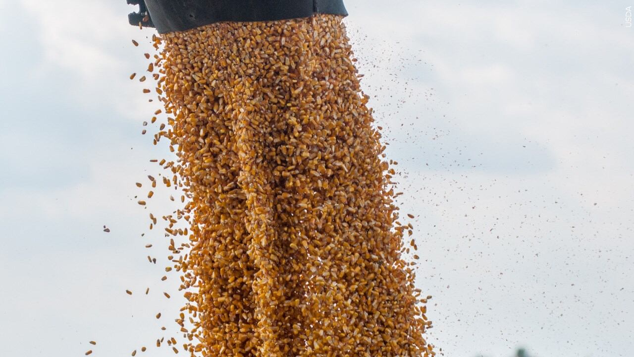 Nebraska panel reinstates license to Omaha grain dealer