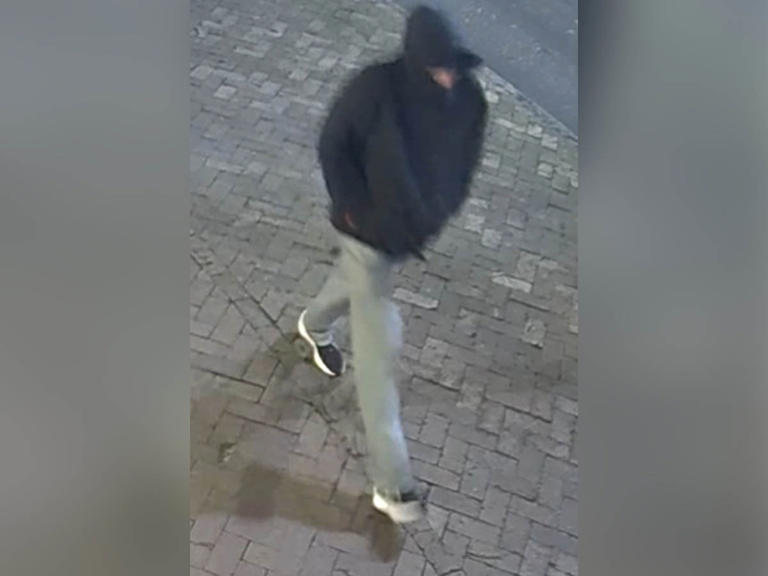 Search underway for missing college student last seen early on ...