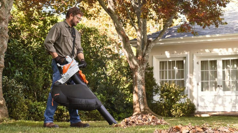 Why Ryobi's Leaf Vacuum Isn't All It's Cracked Up To Be (And What To ...