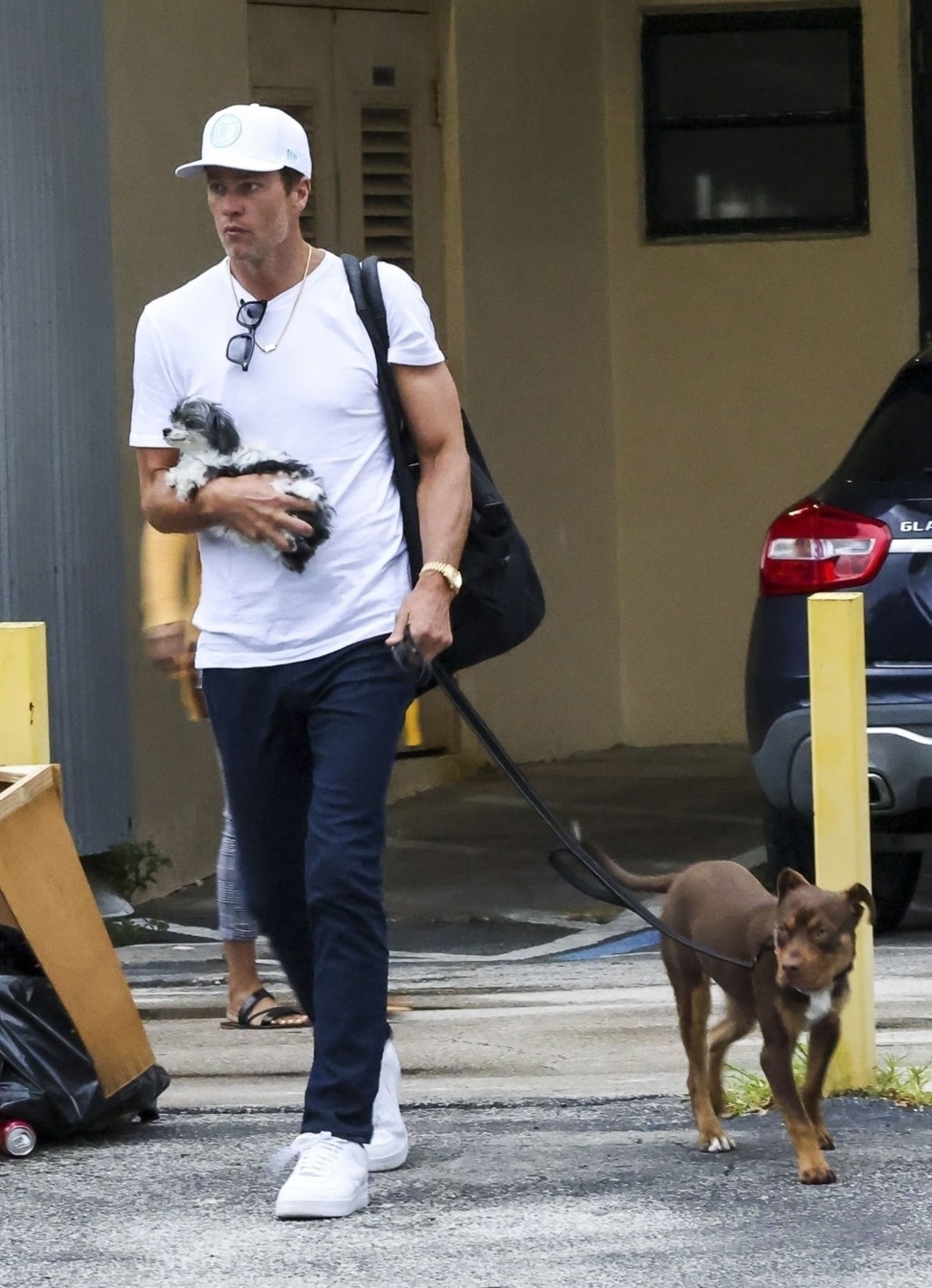 Tom Brady reveals he cloned his late dog to create newest pooch