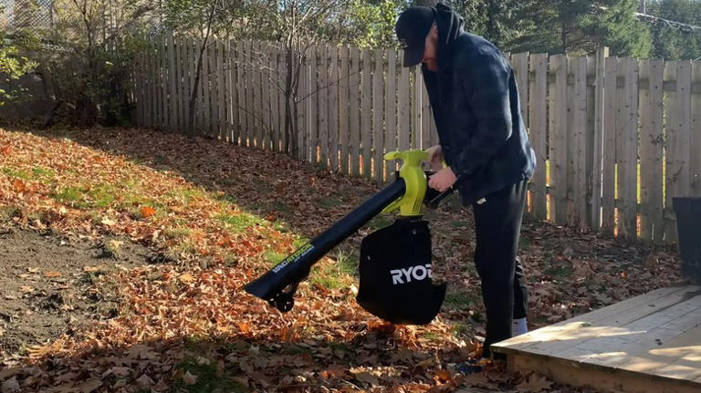 Why Ryobi's Leaf Vacuum Isn't All It's Cracked Up To Be (And What To ...