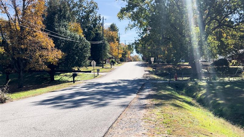 Virtual Sabre Drive traffic calming meeting addresses speeding