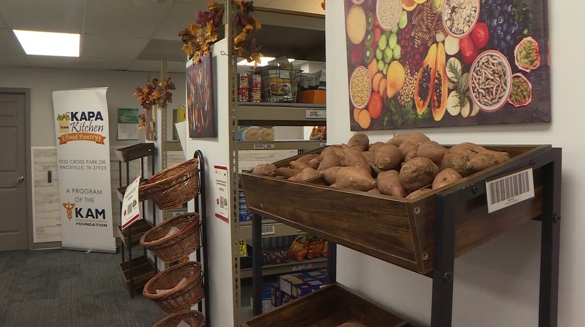 Knoxville Area Project Access helping SNAP families with donations ...