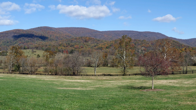 Midway Between Shenandoah National Park And D.C. Is A Friendly Virginia ...