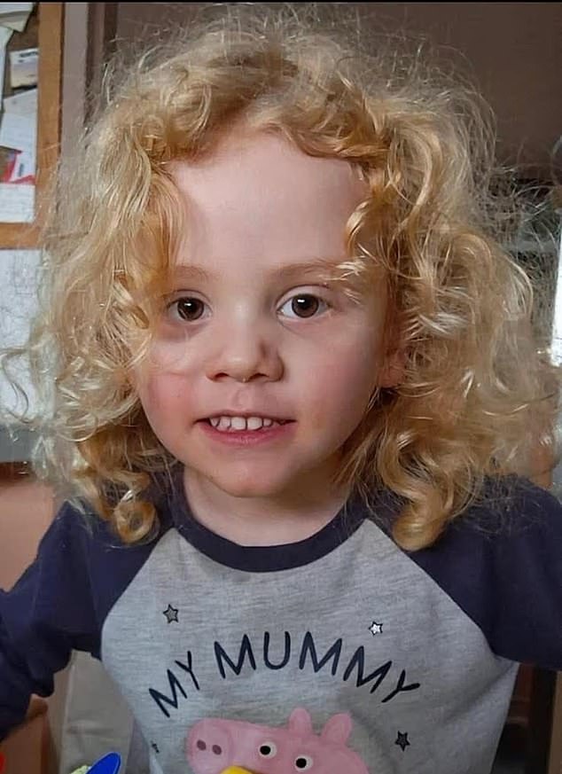 Bombshell in Missing Toddler Gus Lamont Case - New Police Move Revealed ...