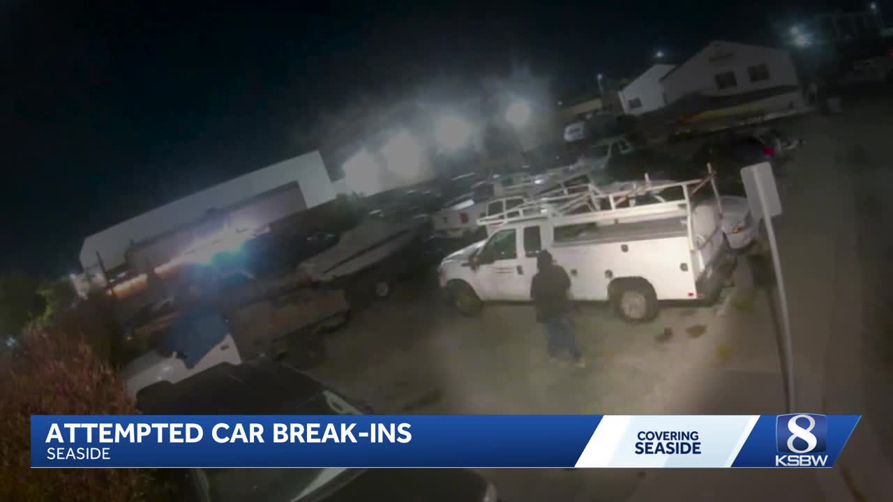 Surveillance video shows attempted car break-ins at Seaside auto shop