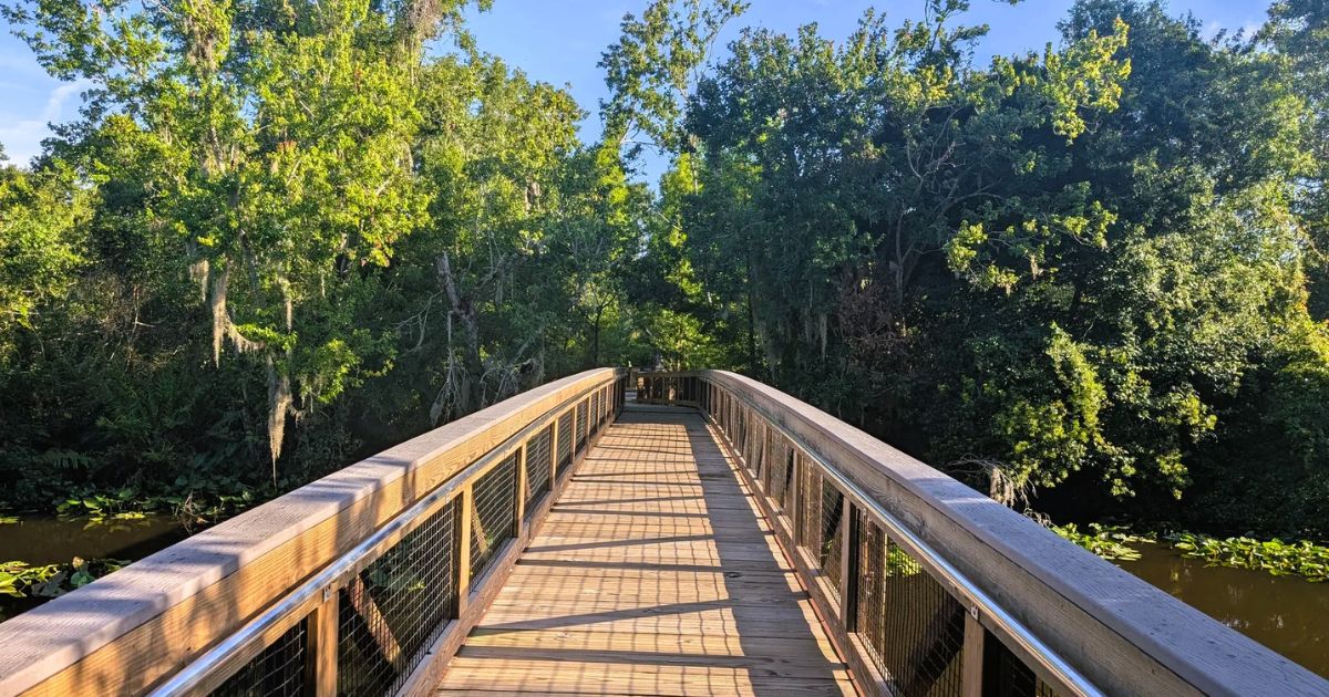 The Iconic Trail in Florida Everyone Should Hike Once in Their Lifetime