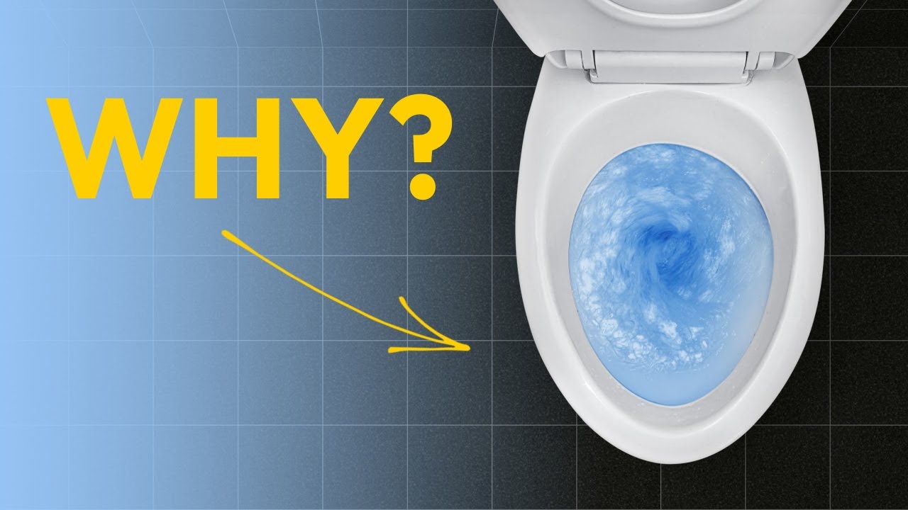 The great toilet debate: Where America and Europe truly differ
