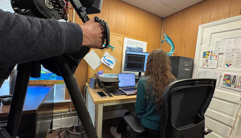 Emmy-Winning 'Outdoors Maryland' Returns With Stargazing, Submarines ...