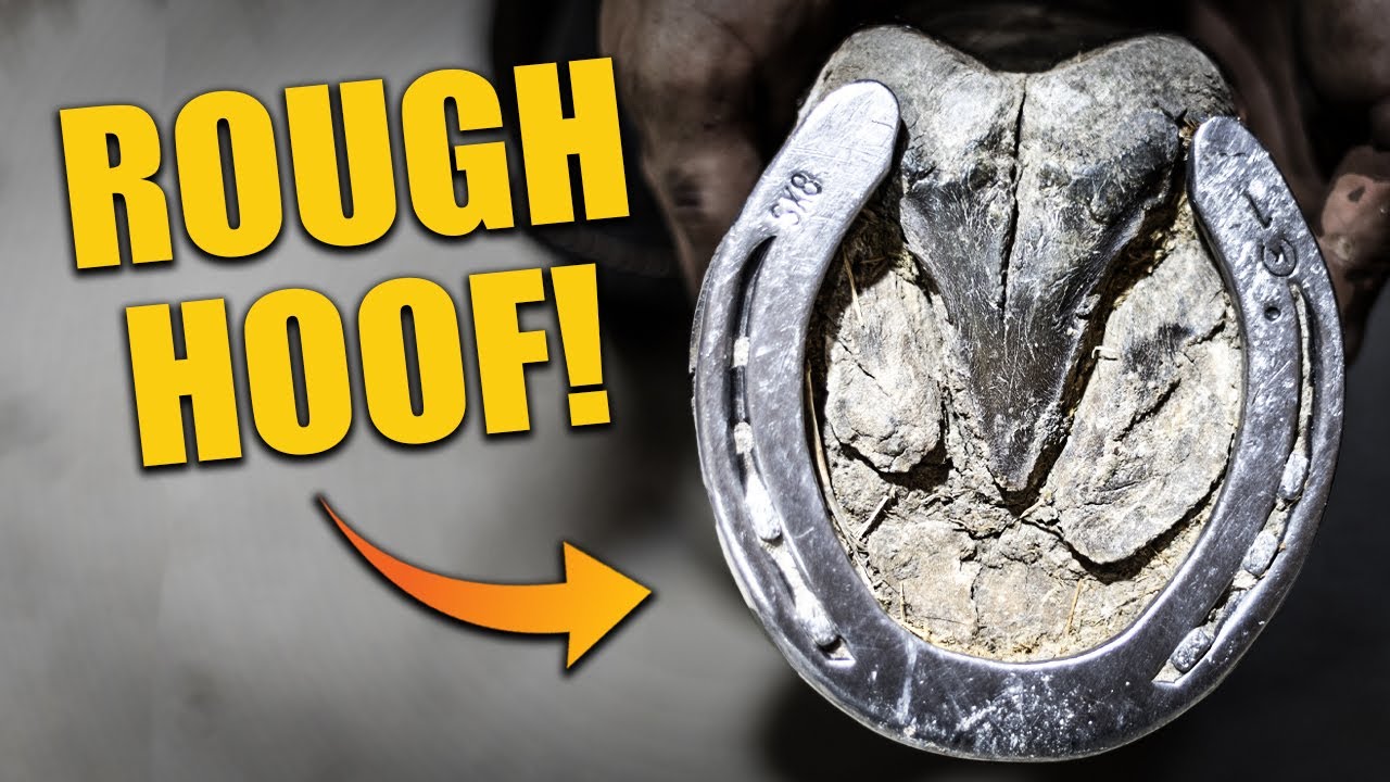 Bringing this hoof back to life!
