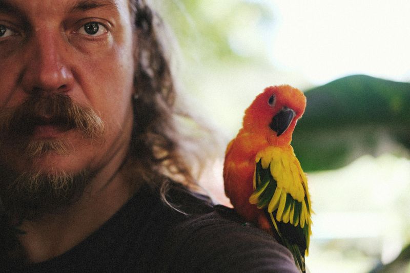 5 Pet Species That Form Lifelong Bonds And 6 That Lose Interest Quickly