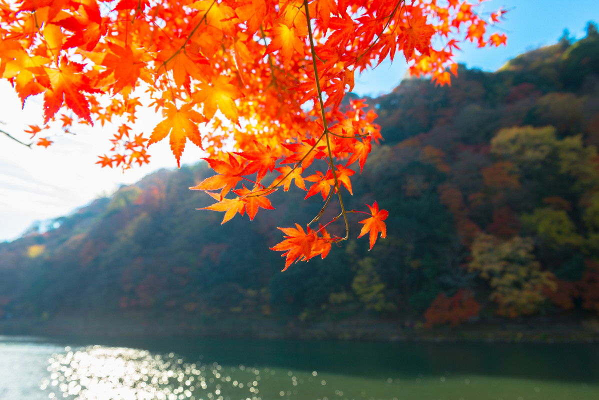 The Science-Backed Reason Fall Can Be Great for Your Health, According ...