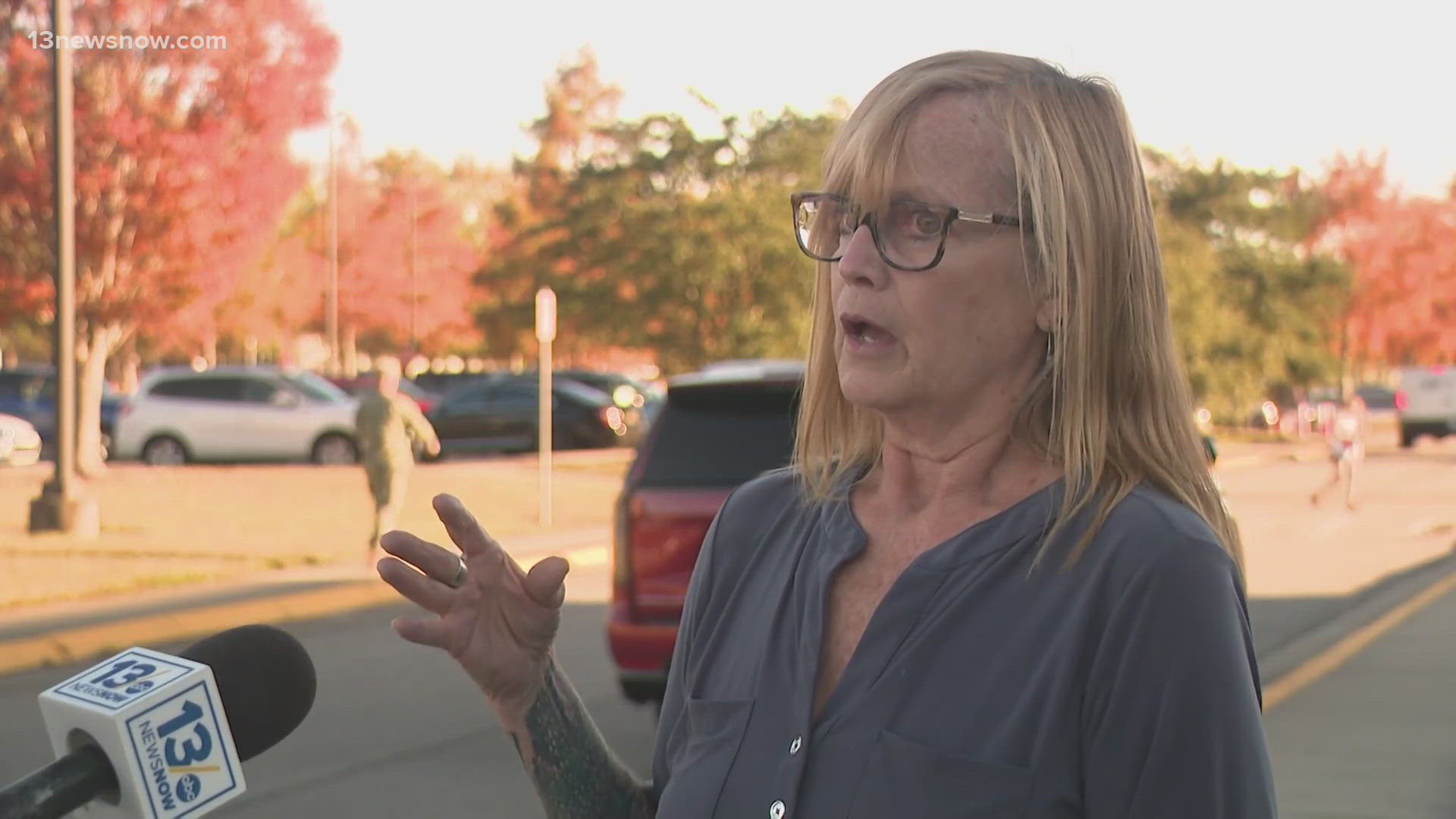 Voters in Chesapeake weigh key House race between Carnegie and Lamonea