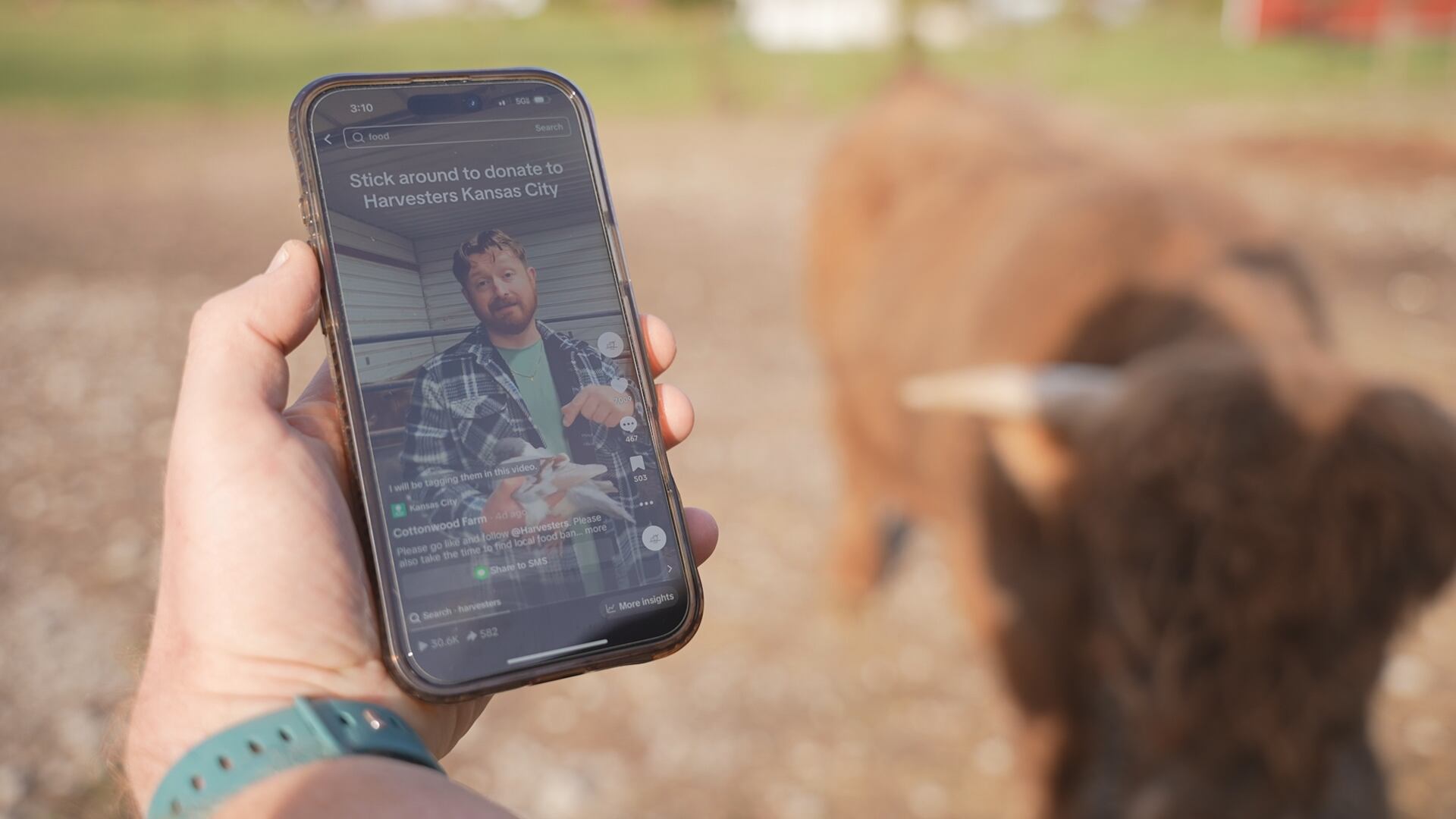 Social media campaign aims to help families facing food insecurity