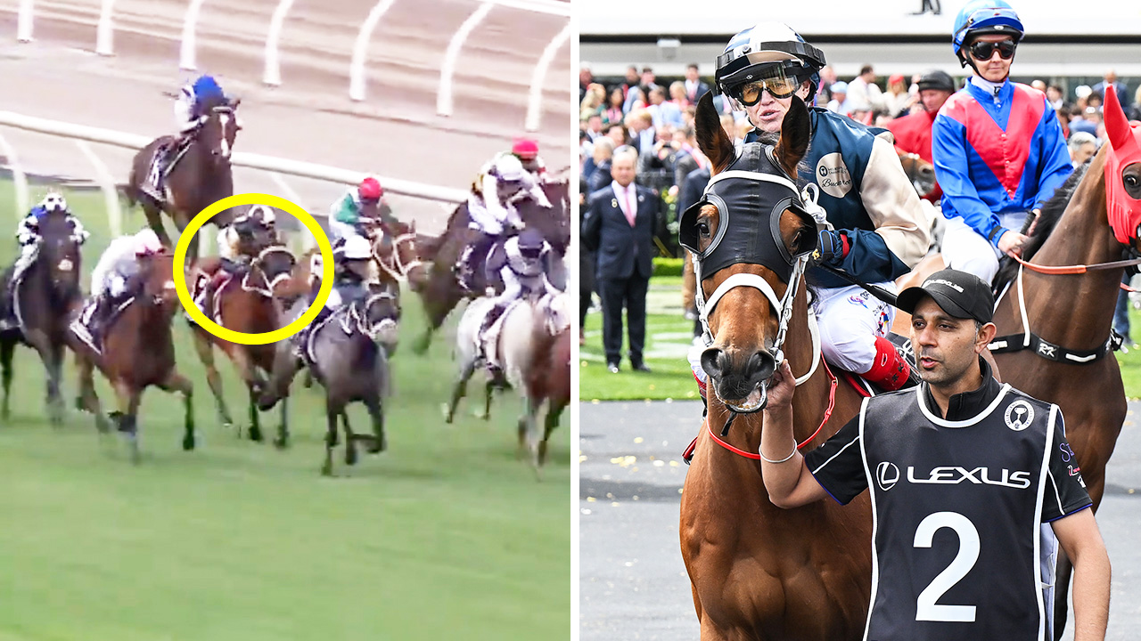 Melbourne Cup's controversial move vindicated amid update on horse that ...