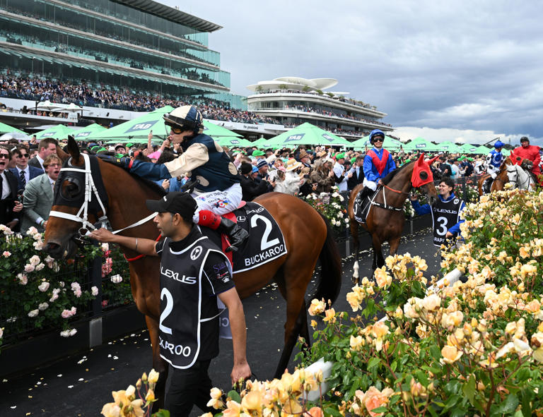 Melbourne Cup's controversial move vindicated amid update on horse that ...