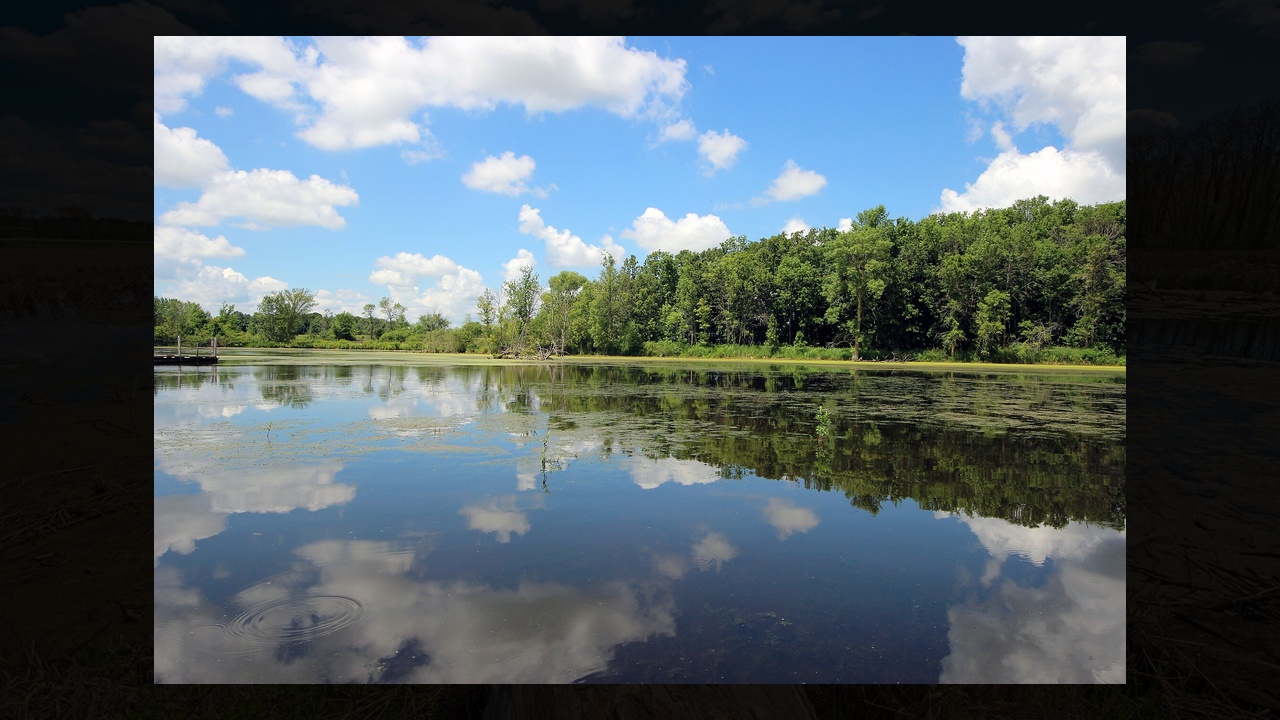 Greed and glory: Wisconsin’s 23-year quest to tame a wild marsh