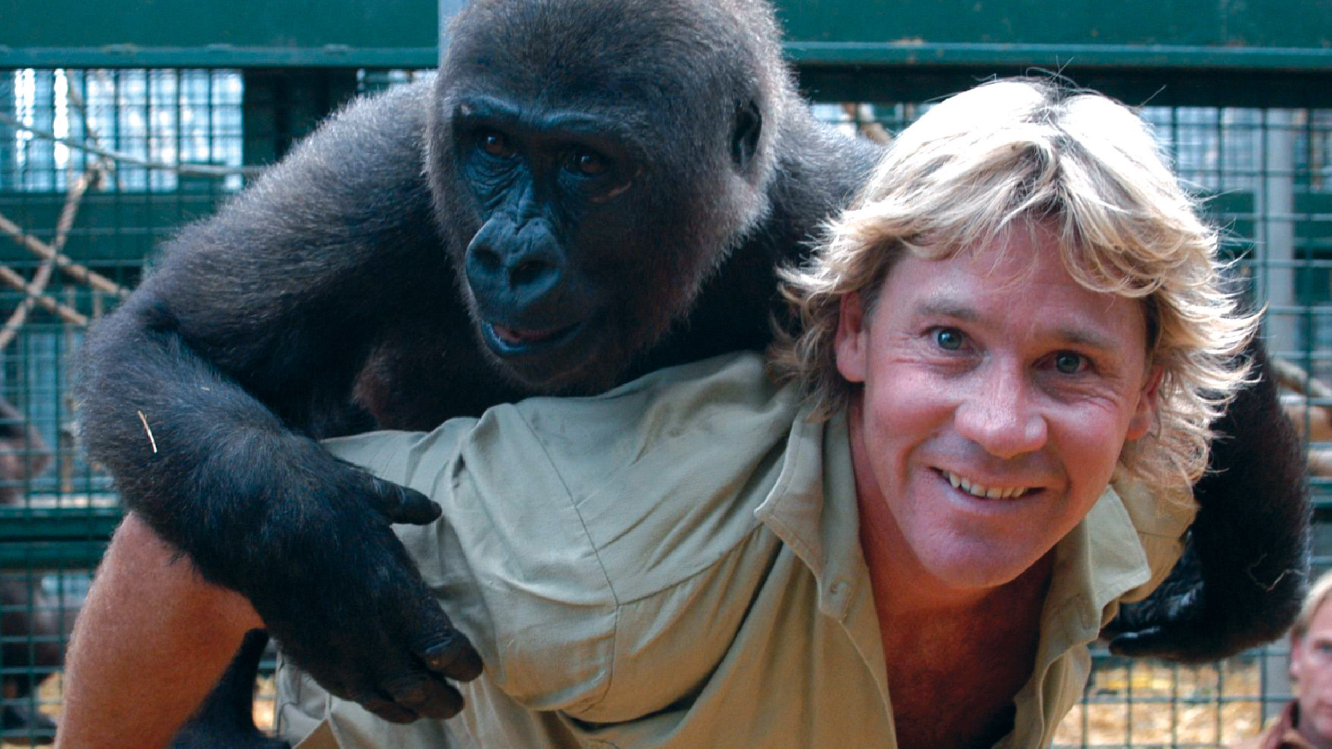 Why Steve Irwin's family was left in serious debt following his death
