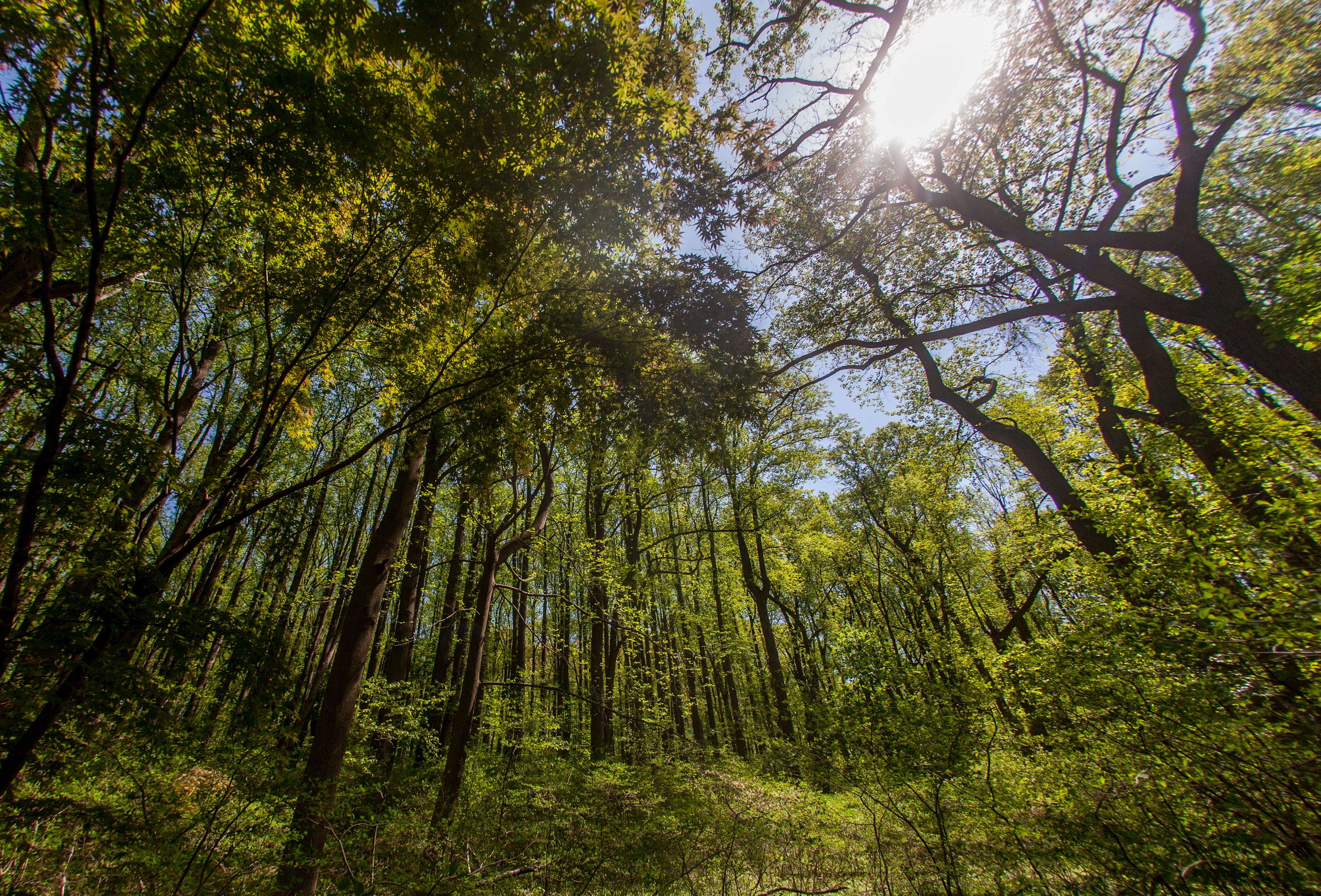 Monmouth County voters approve raising taxes to preserve more open space