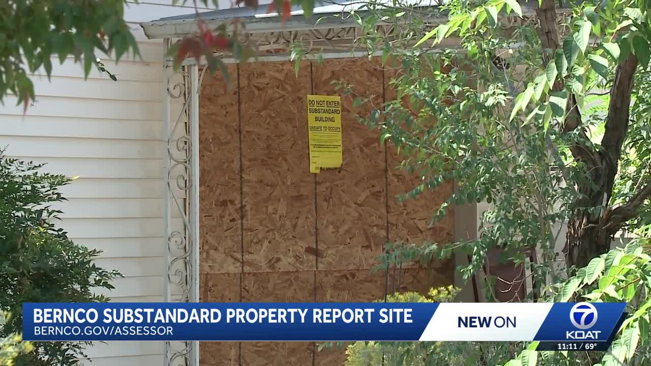 BernCo damaged property website