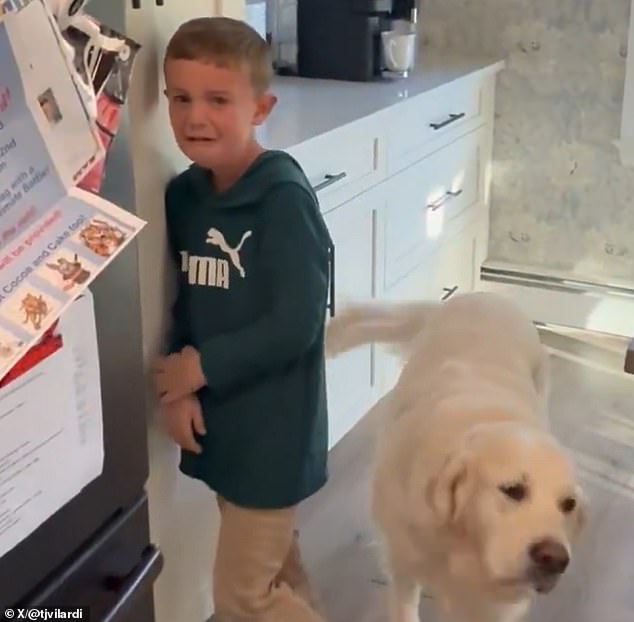 Young Jets Fan's Emotional Outburst After Trade of Sauce Gardner to ...