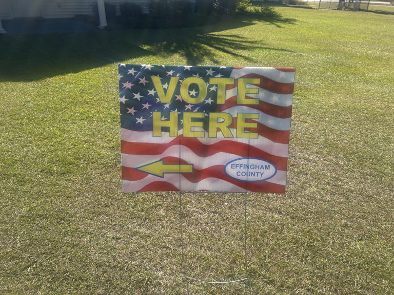 Primaries in Bryan, Effingham counties set stage for fall races