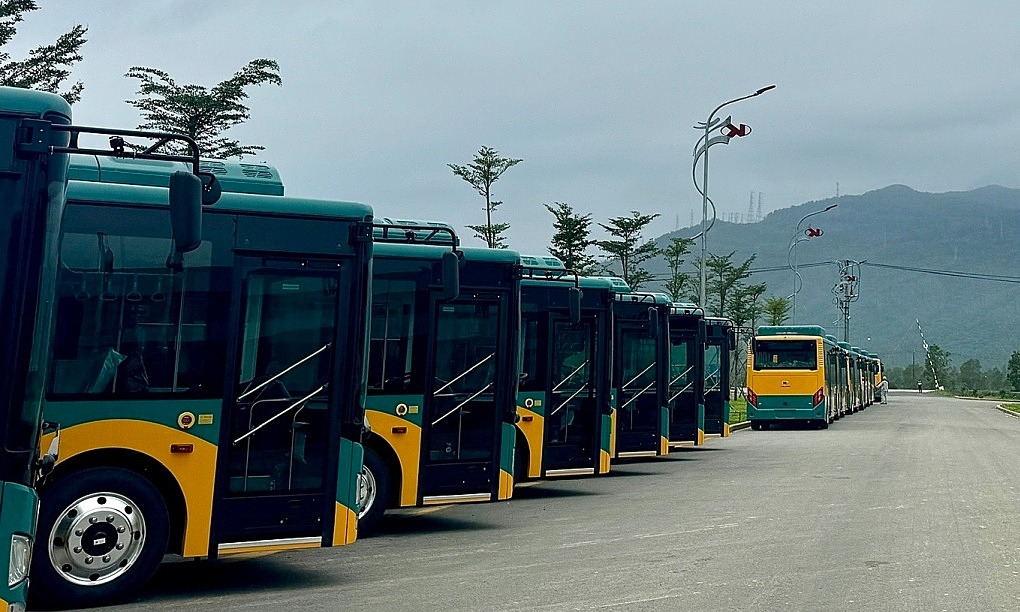 First electric bus route to be launched in Con Dao in December