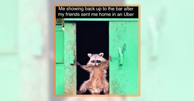 24 Wildlife Memes to Waken Your Inner Feral Animal Way Before the Weekend