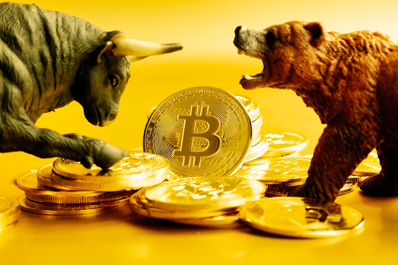 Clarity Act by July 4 paints green forest for Bitcoin—but are bears ...