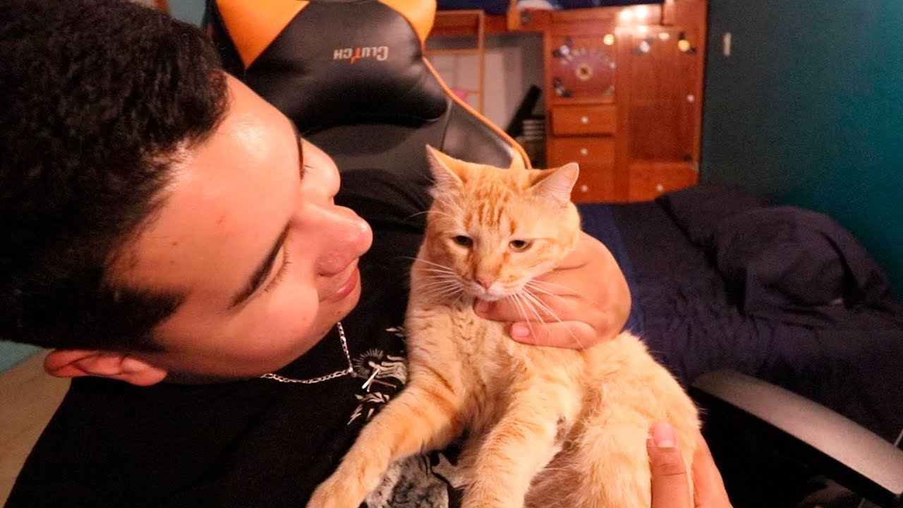 Juro que Nunca me Comeria a mi Gato... ¿o si?