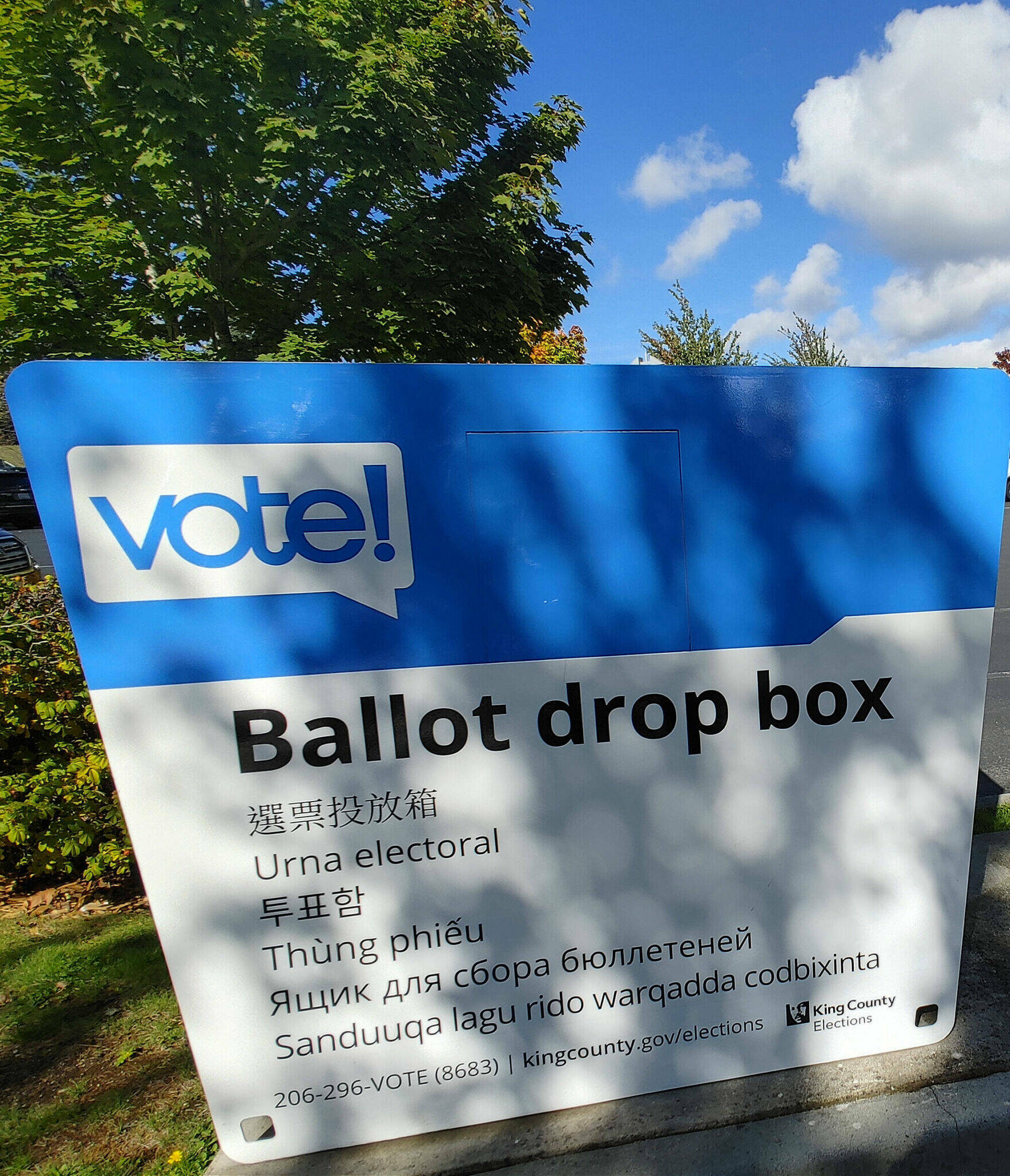 Mercer Island early general election results released